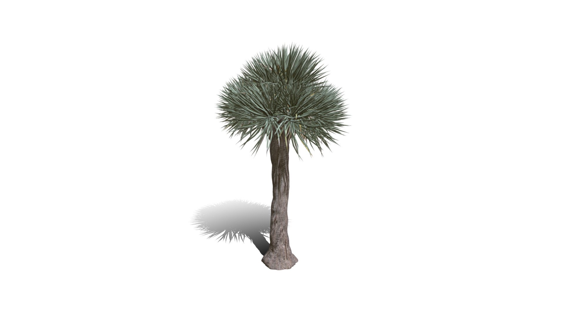 Realistic HD Dragon tree (28/50) - Download Free 3D model by ...