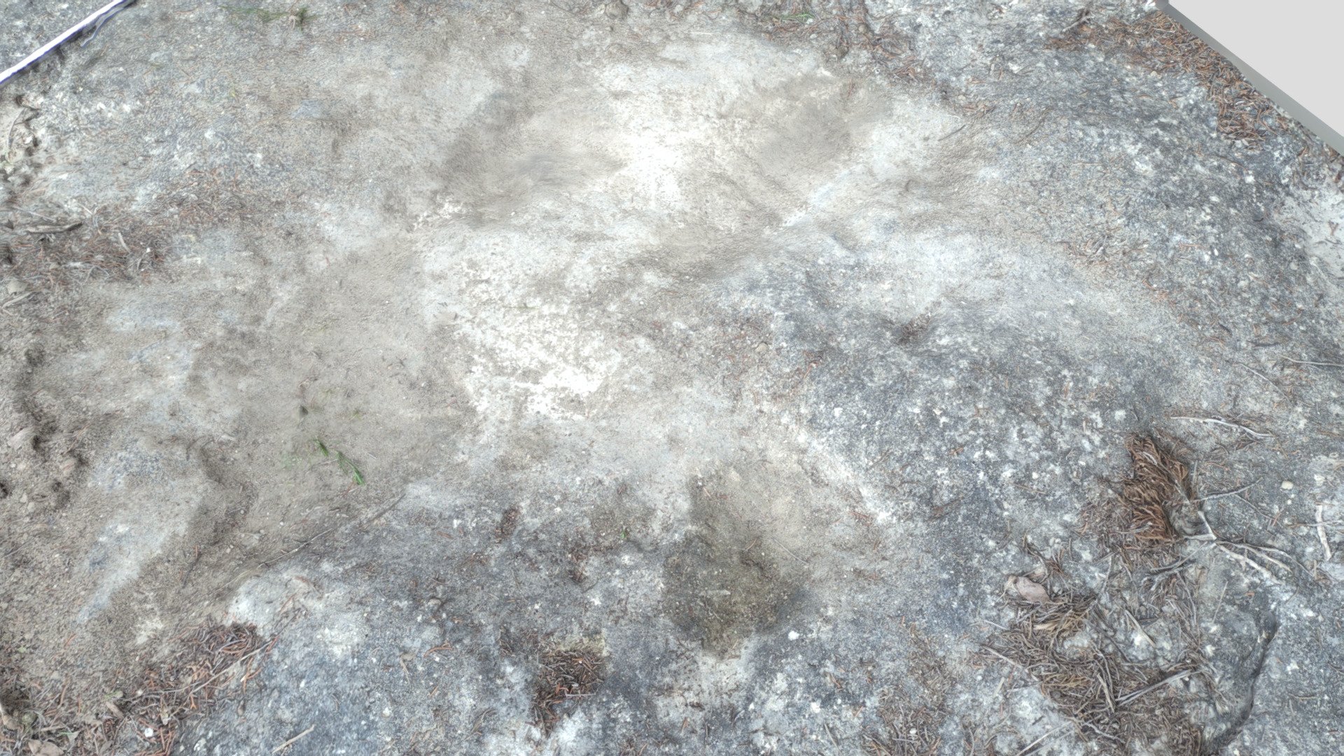 3 Toe Track - 3D model by tierrarounder [4e0022f] - Sketchfab