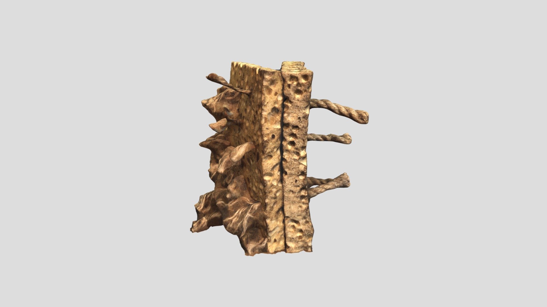 ENSAL_e223_SARIOGLU_ALEYNA - 3D model by aleynasarioglu [4e028b6 ...