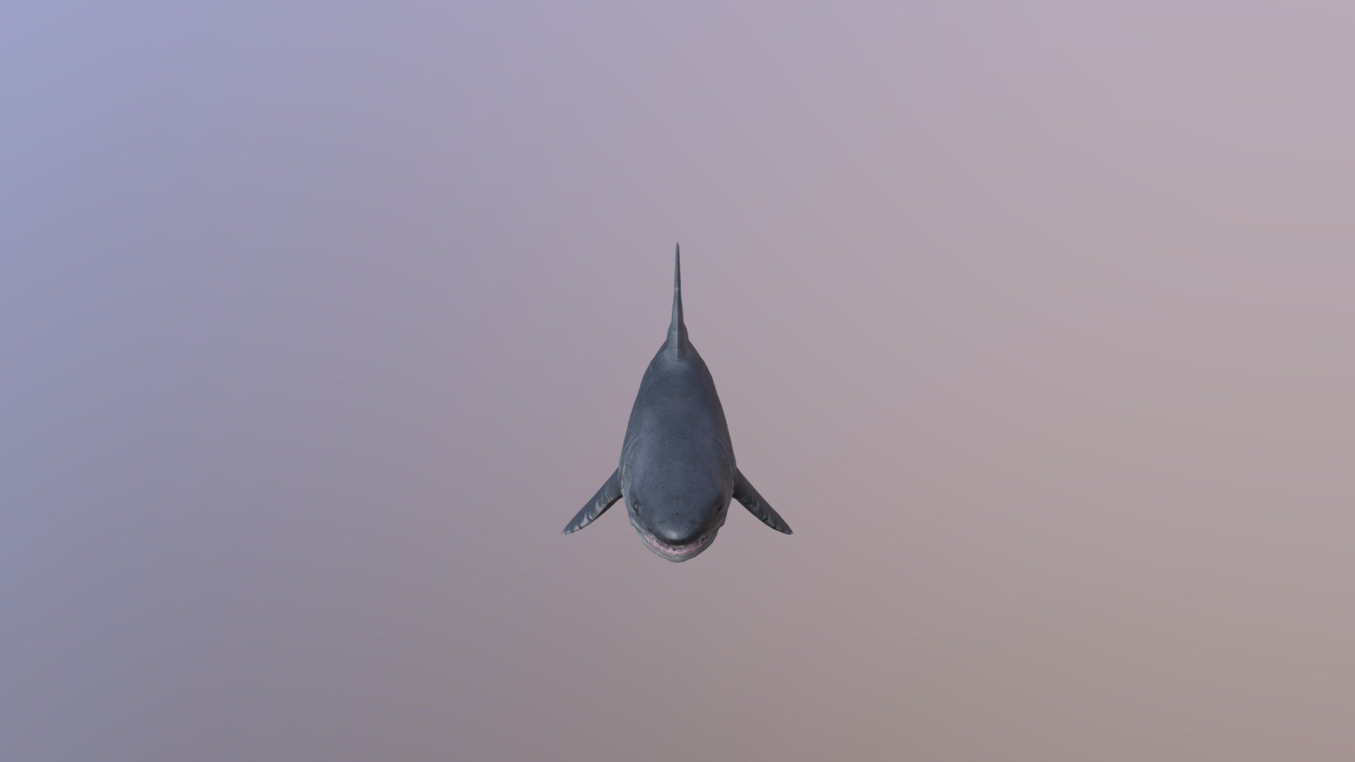 Shark Rig - 3D model by jérémy paladini (@paladini) [4e08a1d] - Sketchfab