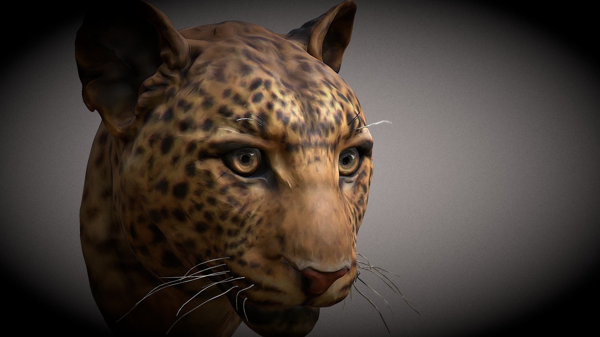 Leopard - 3D model by Hong Nguyen (@hongnguyen044) [4e093fe] - Sketchfab