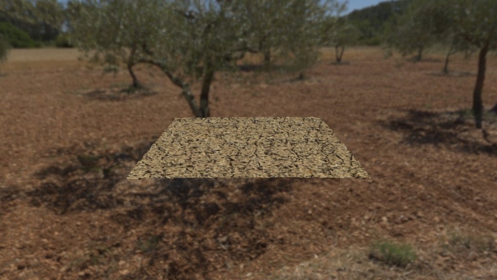 Dirt - 3D model by kezcs [4e0d50a] - Sketchfab