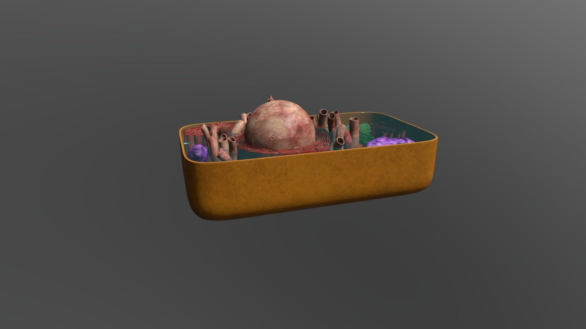 nucleus - Download Free 3D model by maliakshay394 [4e13d9a] - Sketchfab