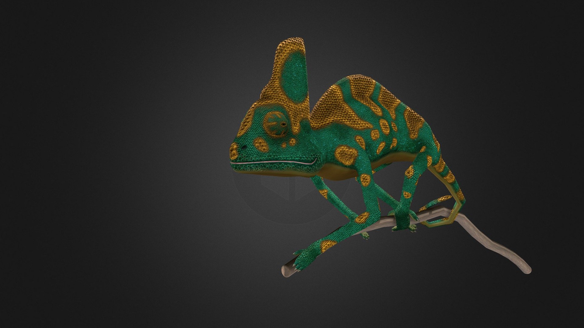 Chameleon - 3D model by Andrew/Simian3D (@arsullivan) [4e14753] - Sketchfab