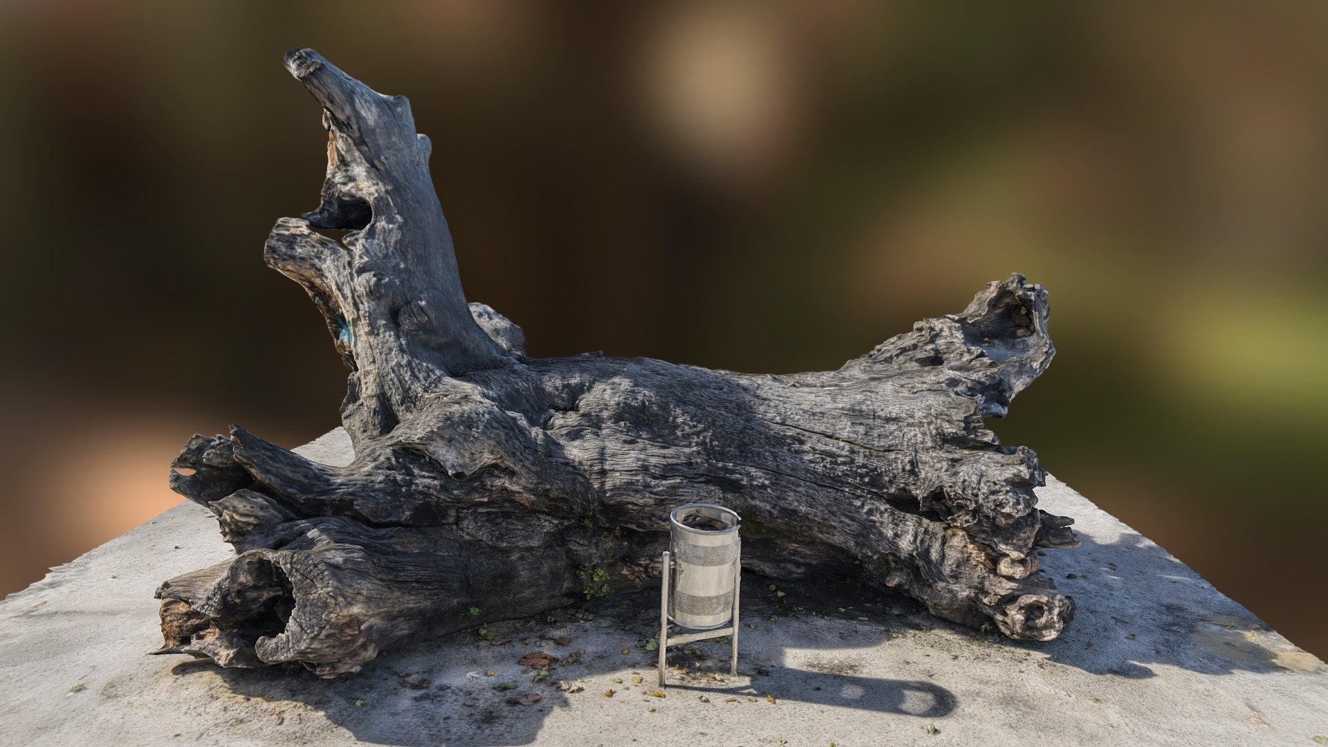 Big dead tree at park scan - Buy Royalty Free 3D model by Miguel ...