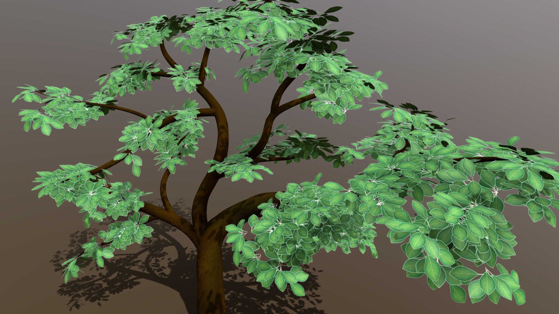 Stylized Cedro Tree - Download Free 3D model by Denisse Rodriguez ...