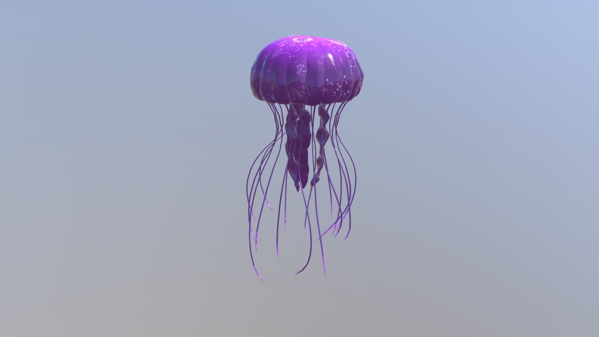 Jellyfish - 3D model by Blake Morris (@bmorris) [4e2be80] - Sketchfab