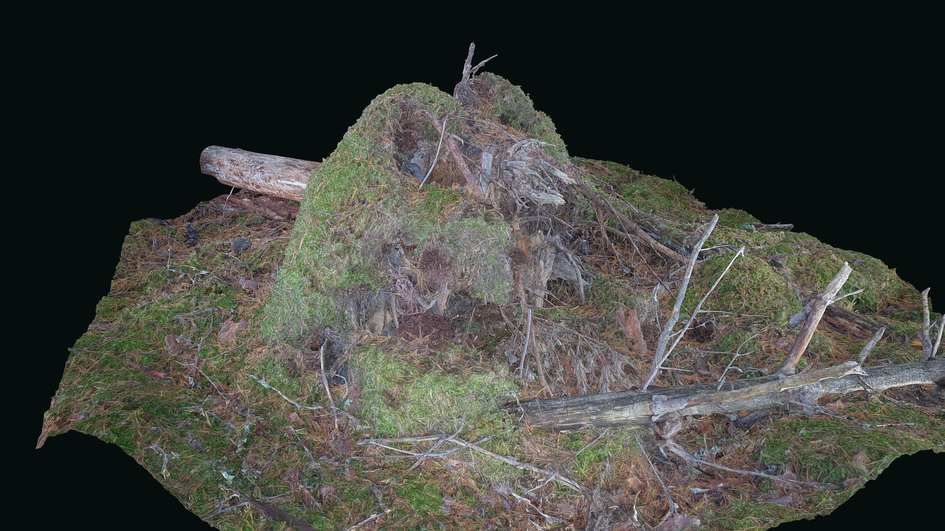 The roots and trunk of a fallen tree - Buy Royalty Free 3D model by ...