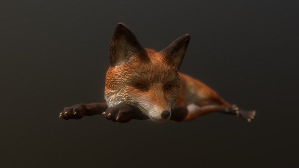 animails - A 3D model collection by royjang - Sketchfab