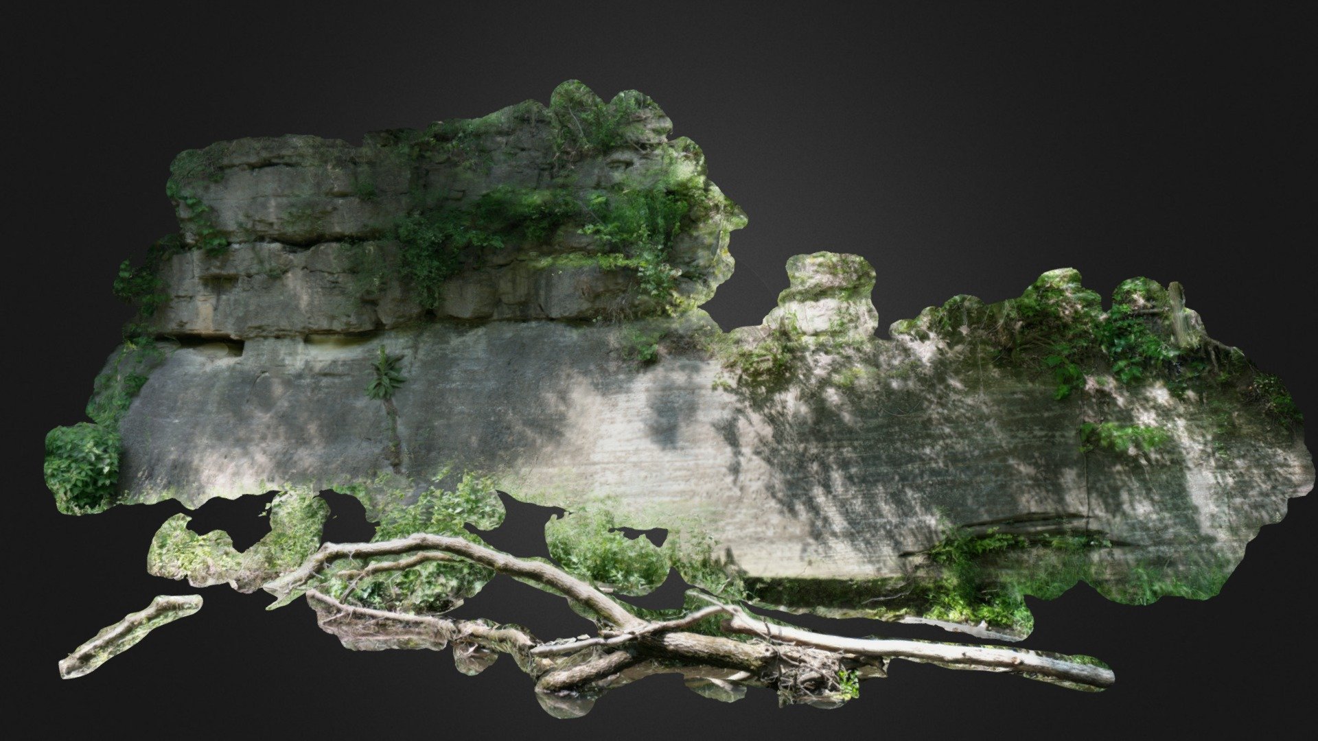 Franklin Creek Outcrop - 3D model by tylerjacobs [4e3b2fe] - Sketchfab