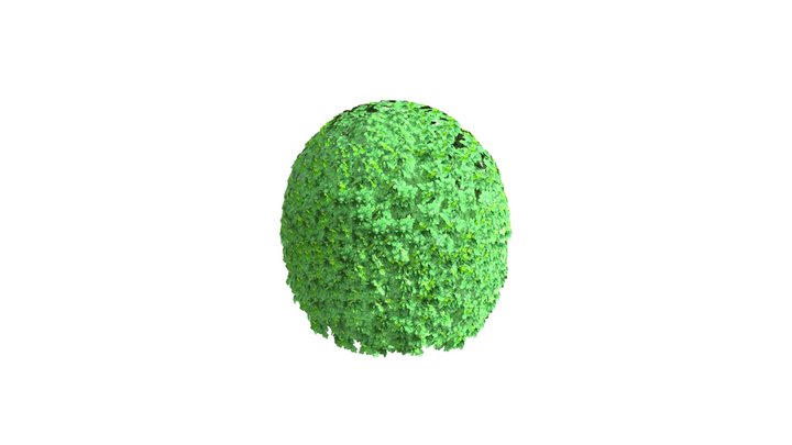 Hedge 3D models - Sketchfab