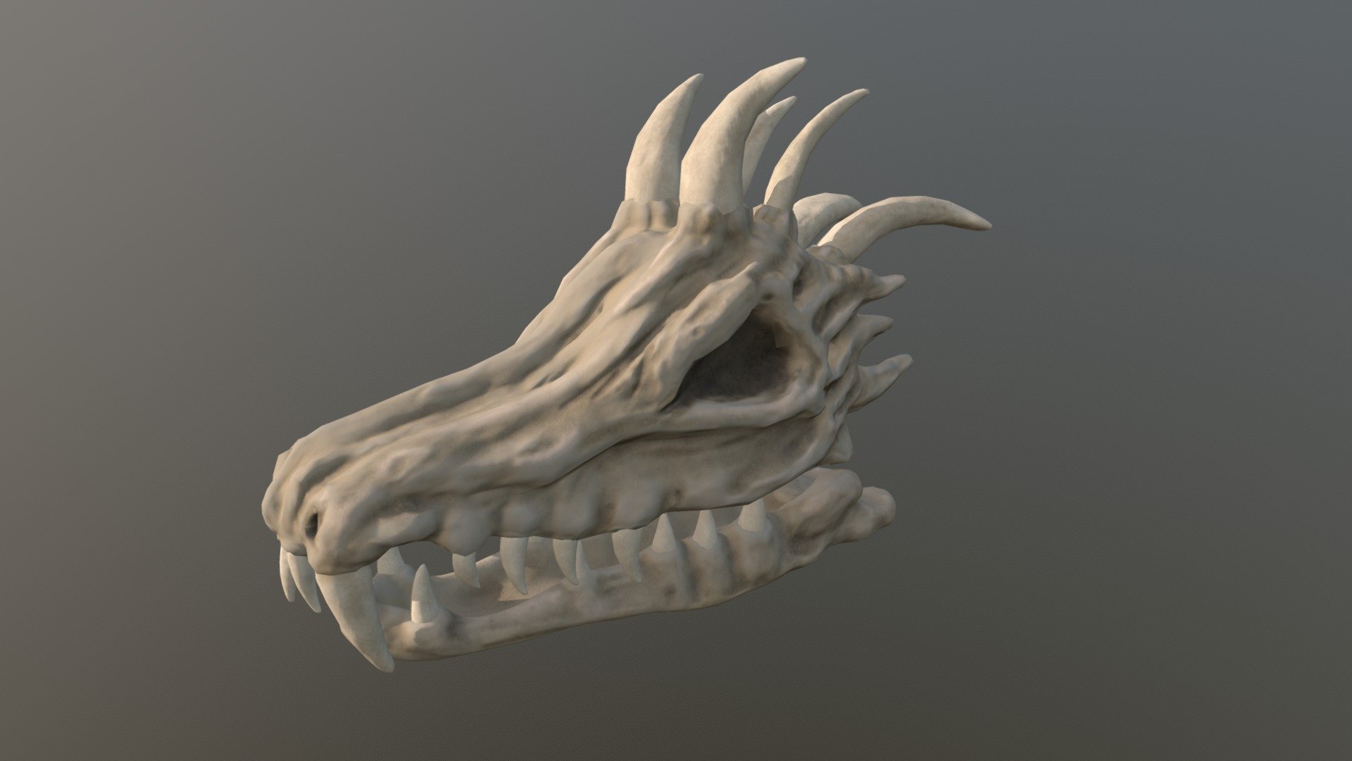Dragon Skull - Download Free 3D model by Paulina (@Byakko) [4e40fa2 ...