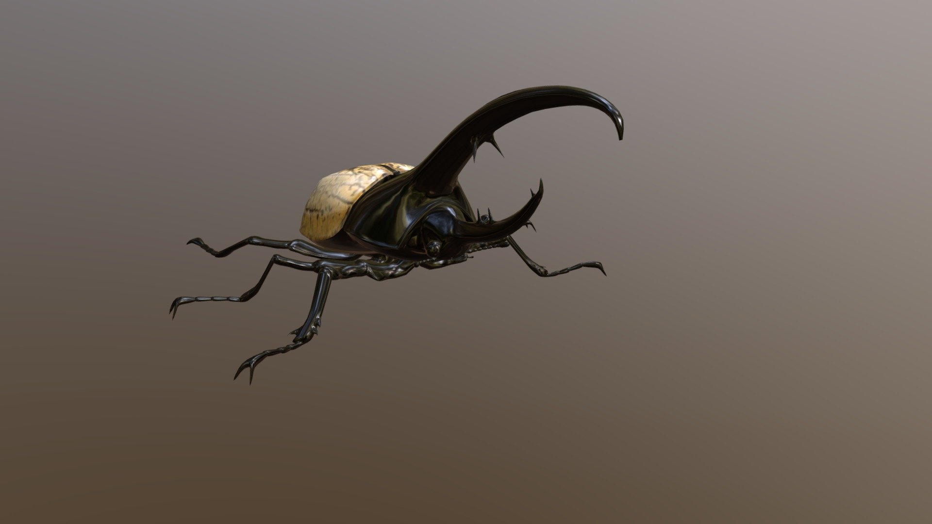 Hercules Beetle - Download Free 3D model by kenchoo [4e4b13a] - Sketchfab