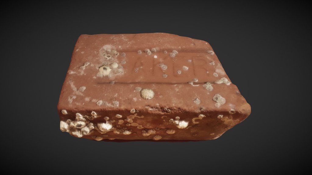 Barnicle Brick - Download Free 3D model by cailenlp [4e4c9f5] - Sketchfab