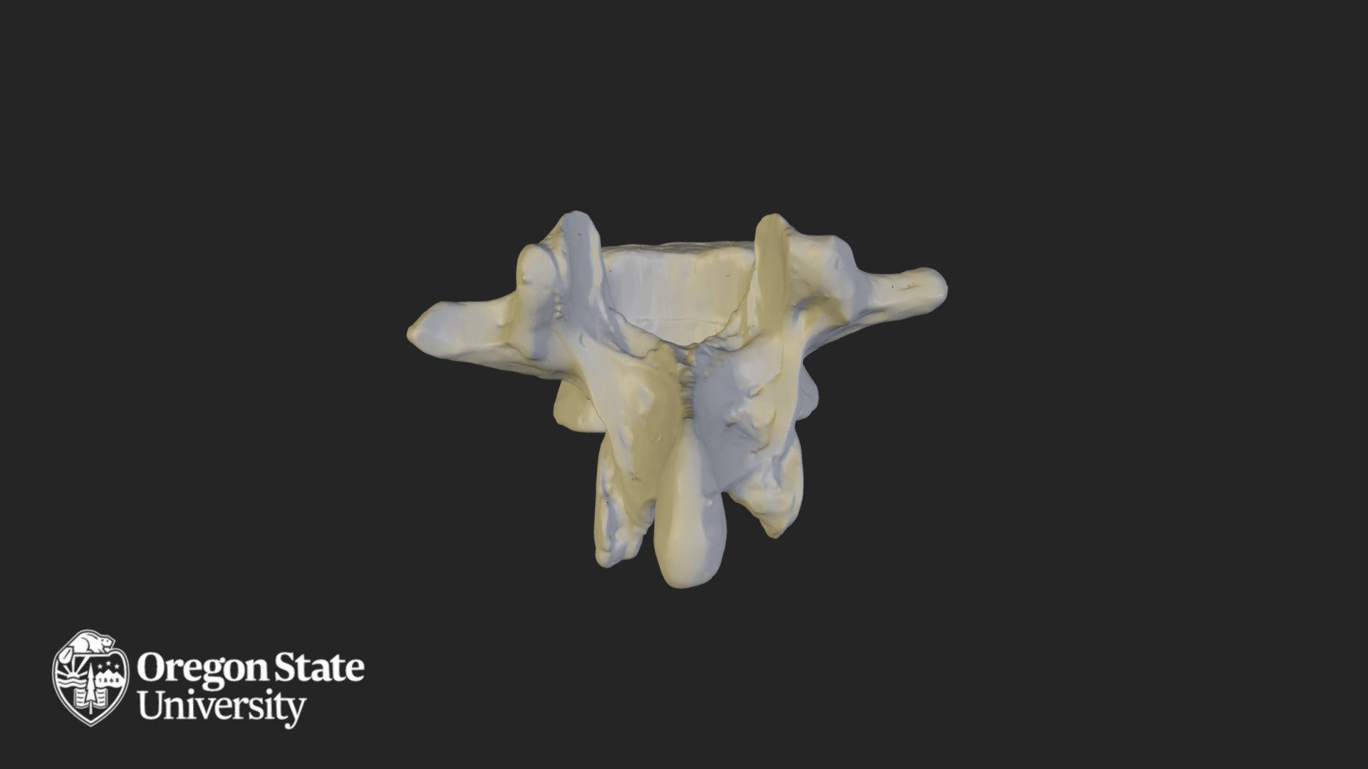 L1 - Download Free 3D model by Oregon State University | Ecampus ...