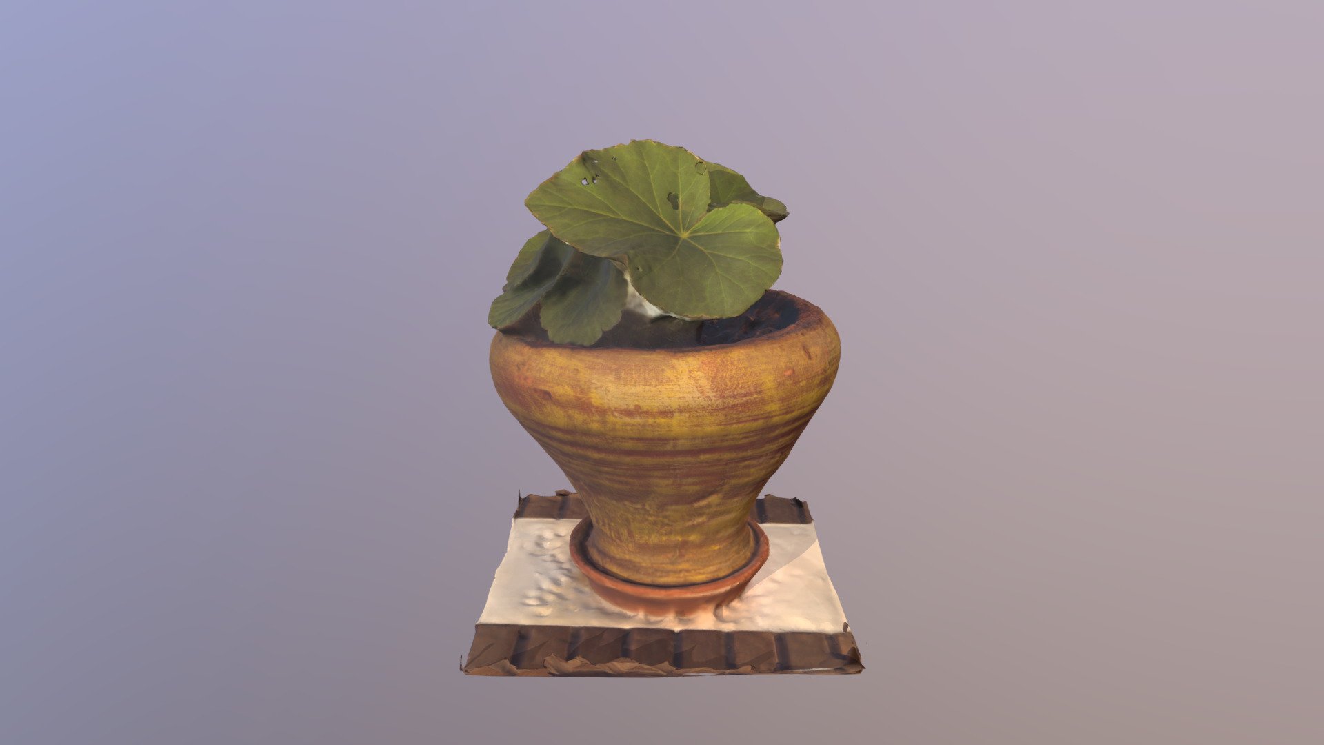 Flower - 3D model by kokkori [4e5ec08] - Sketchfab