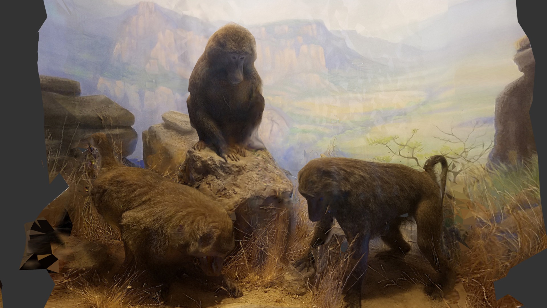 Olive Baboons - 3D model by William (@williamj.mitchell) [4e621ea ...