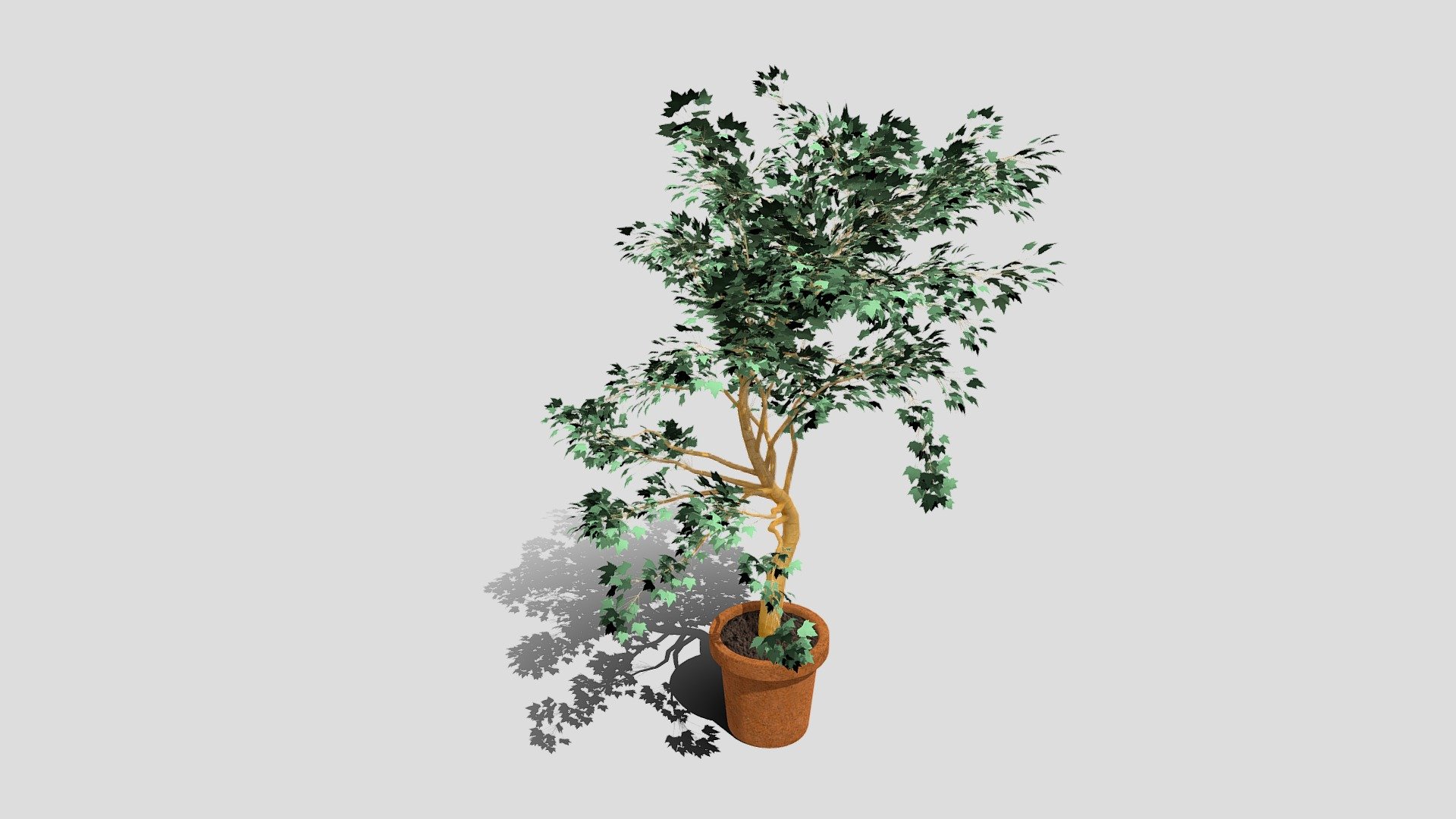 Tree in pot - Download Free 3D model by 12fan23 (@vivays) [4e665b0 ...
