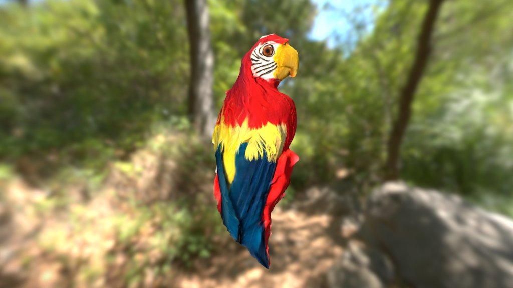 PARROT BIRD - 3D model by l o u i s (@louis) [4e69d72] - Sketchfab