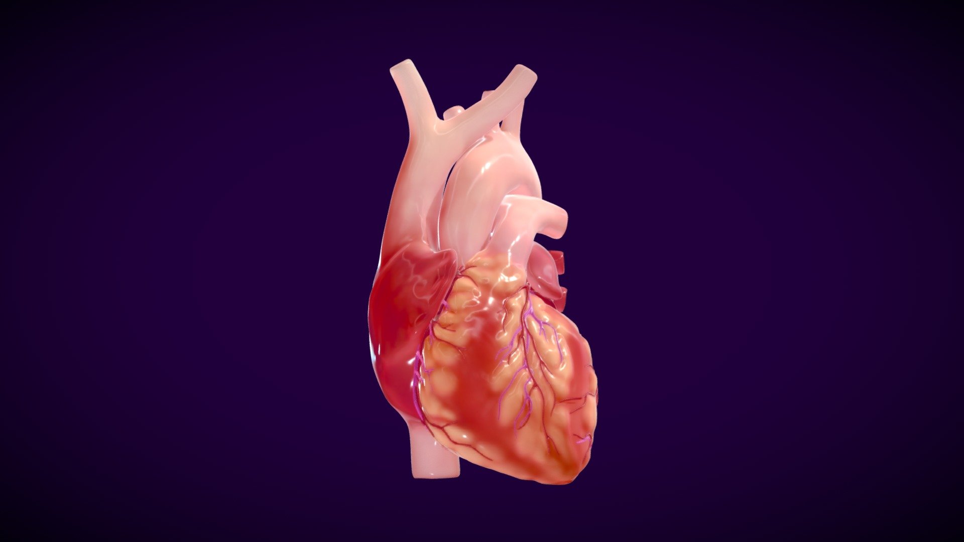 3D Heart Model - 3D model by Clara Oh (@claraoh) [4e6c0fe] - Sketchfab
