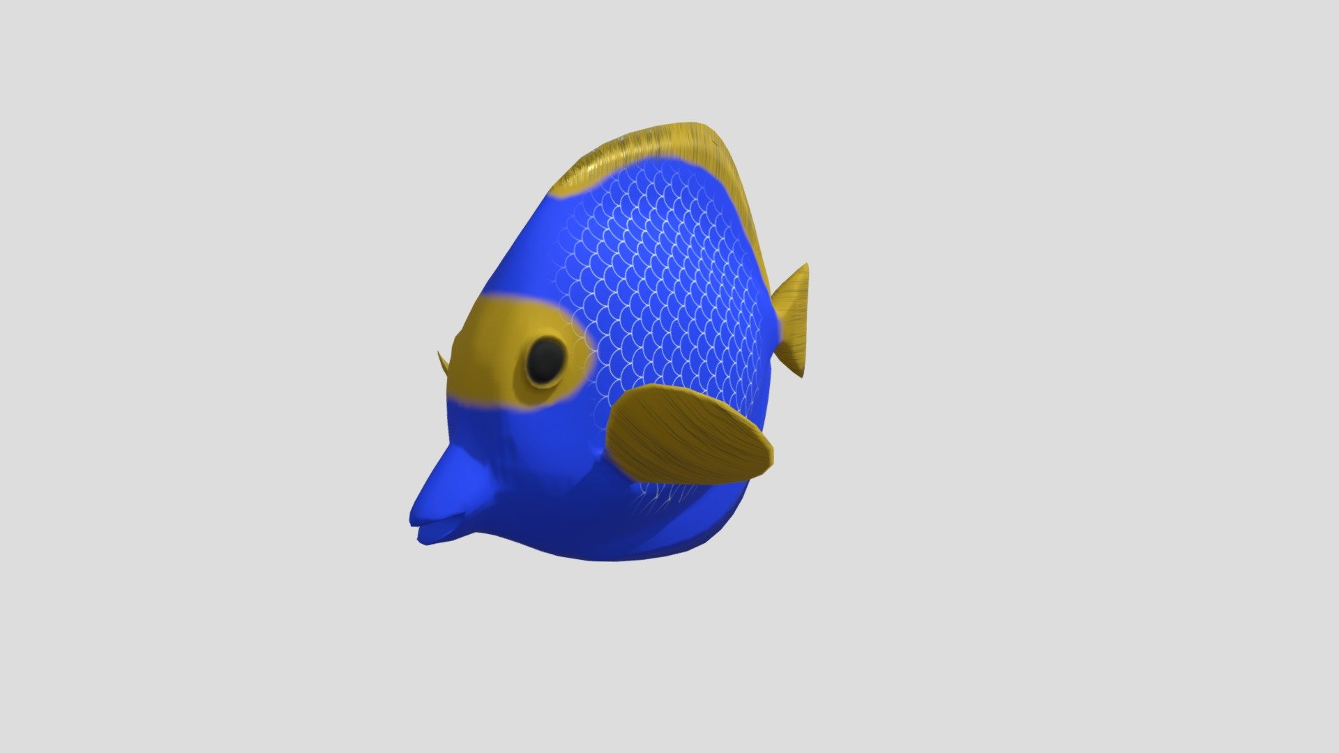 Fish - Download Free 3D model by ZackG568 [4e719b2] - Sketchfab