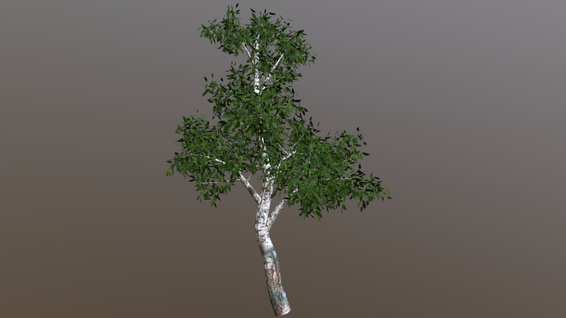 Tree Bake Upload - Download Free 3D model by restlessmonkey [4e78d13 ...