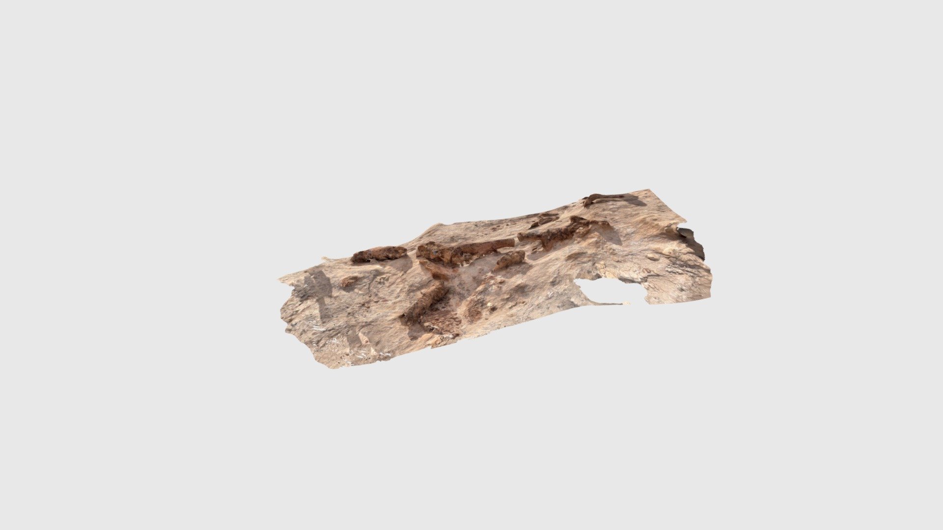Roots Clear water canyon - Download Free 3D model by Safaridb [4e7ffce ...