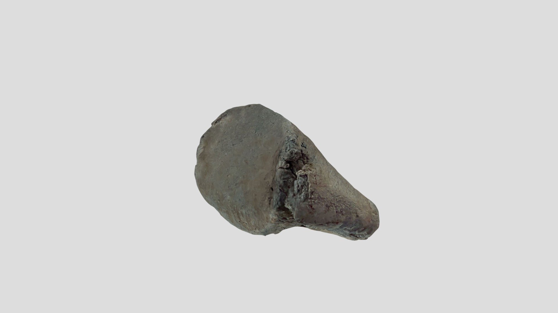 Wmid-664bdd - Post Medieval powder flask cap - Download Free 3D model ...