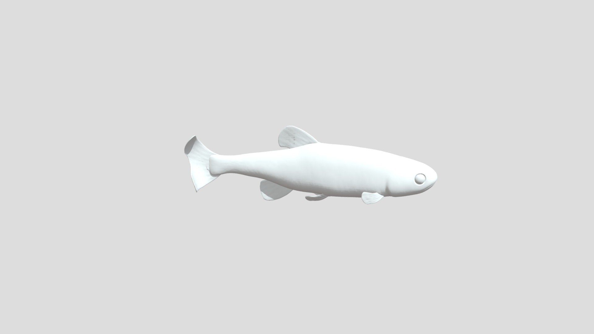 Redside shiner bxr - Download Free 3D model by BrandXR [4e9083a ...