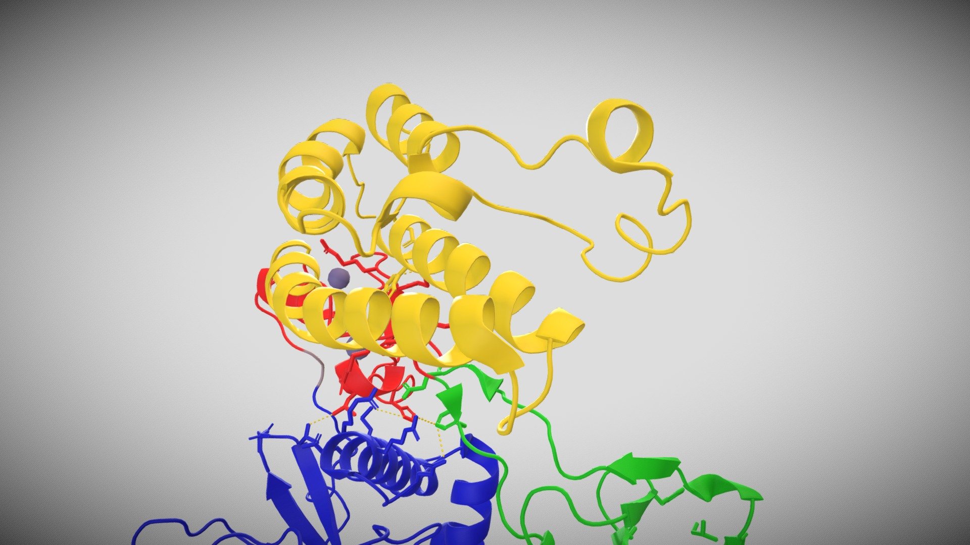 4BHW -- Structure of the p300 catalytic core - 3D model by ivan_huuuu ...