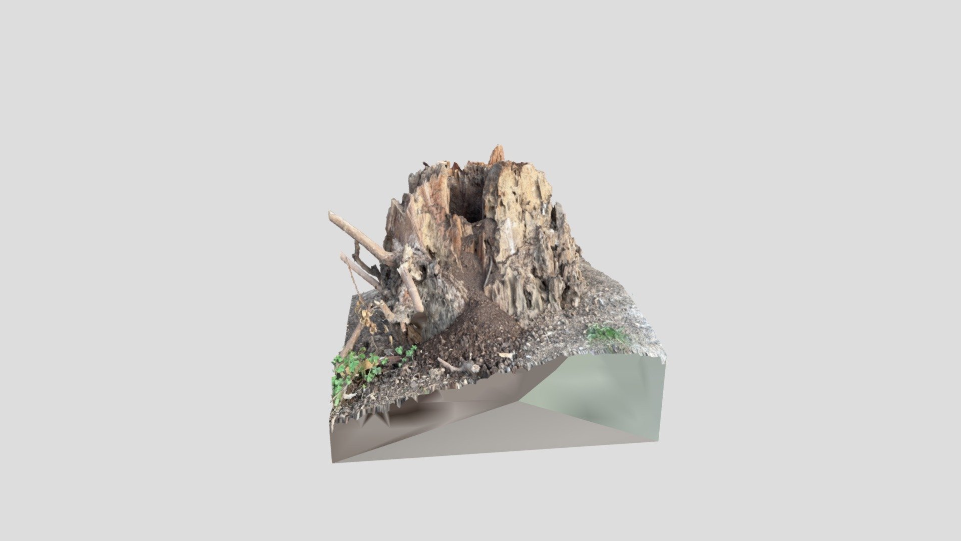 Tree Trunk Broken - 3D model by blubottlestudio [4ea4431] - Sketchfab