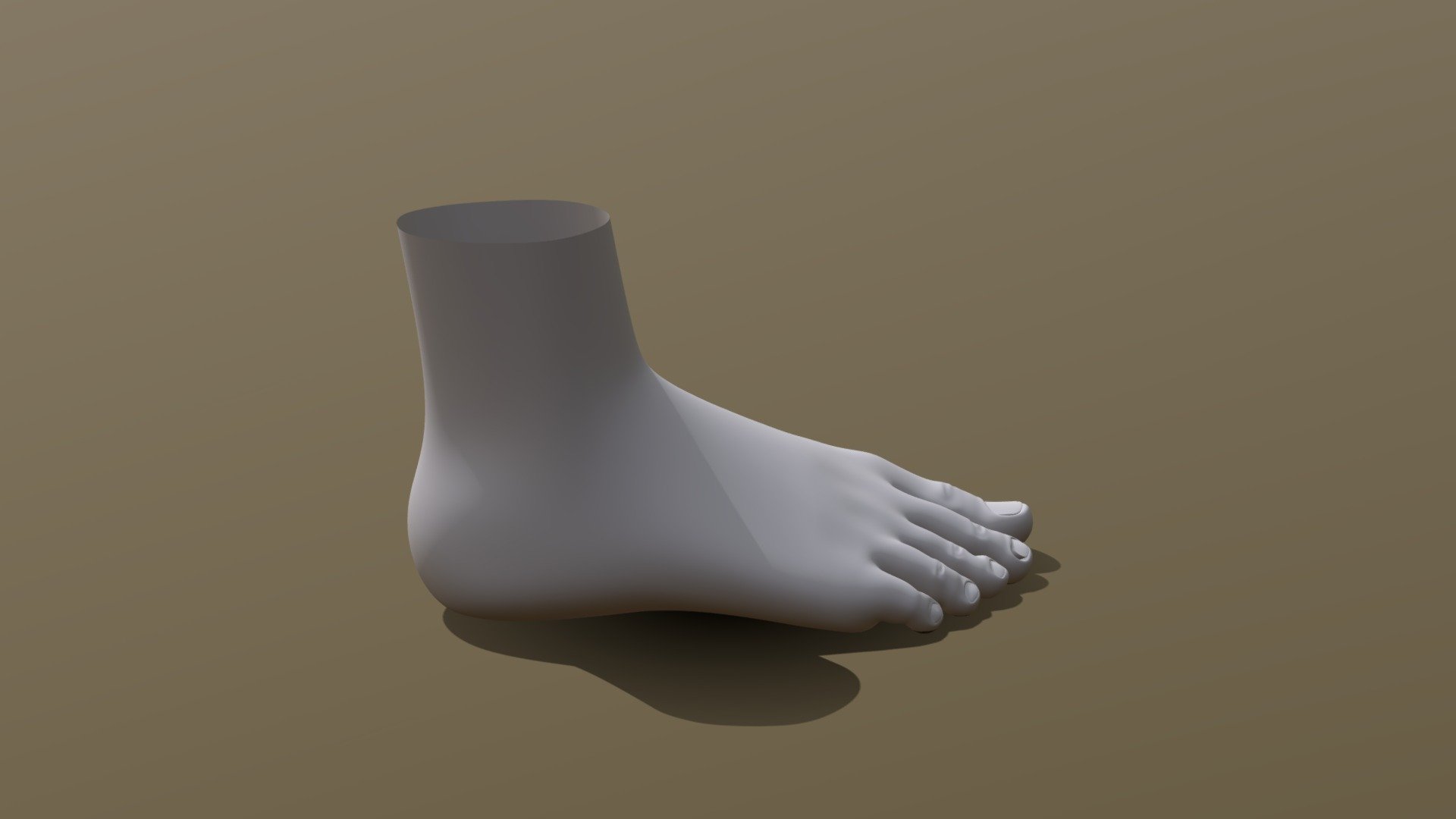 Foot Fbx New2 - 3D model by carojoshua.rence [4eb1365] - Sketchfab