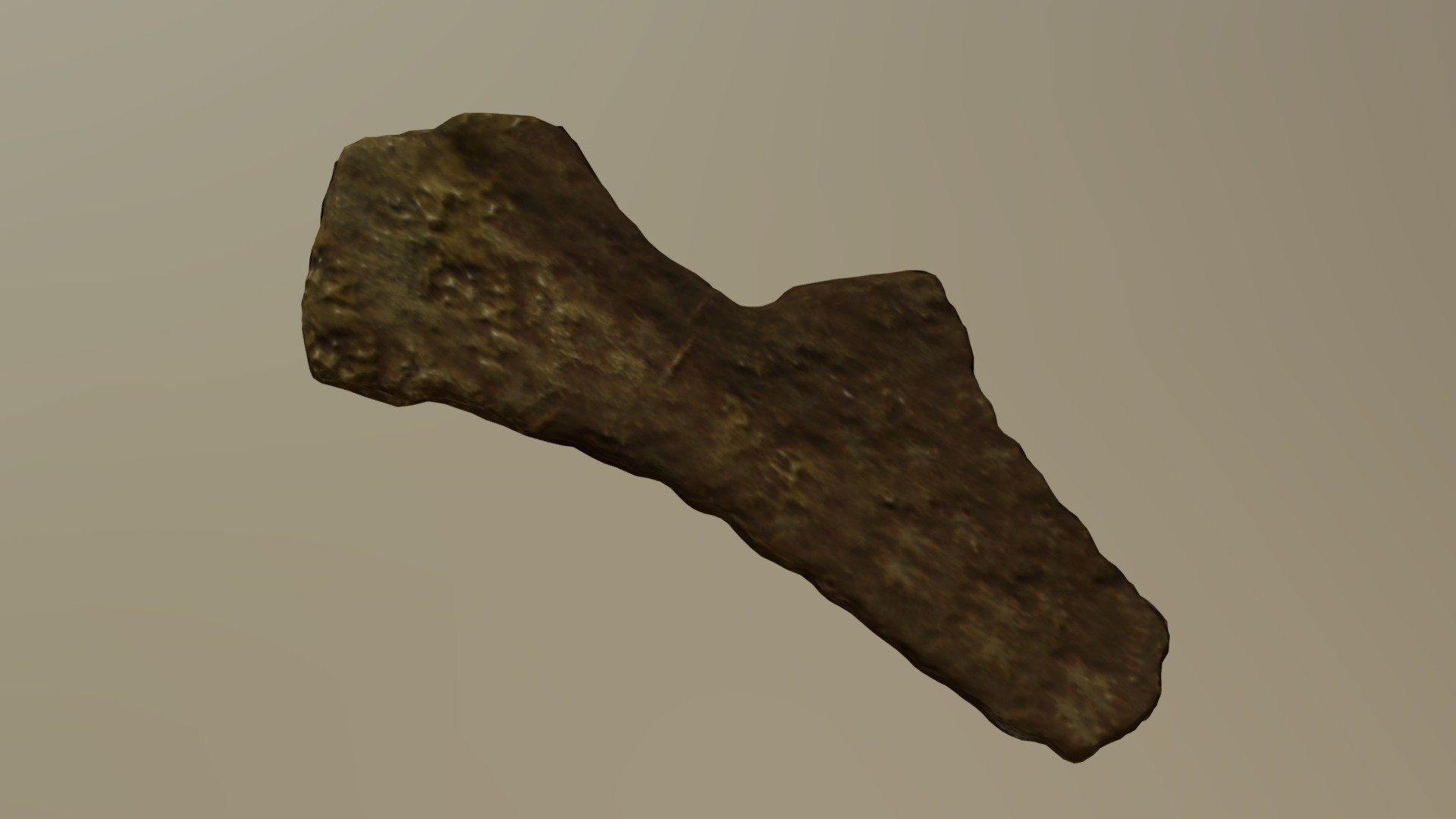 Question 2C Constellaria - 3D model by Systematic Paleontology Missouri ...