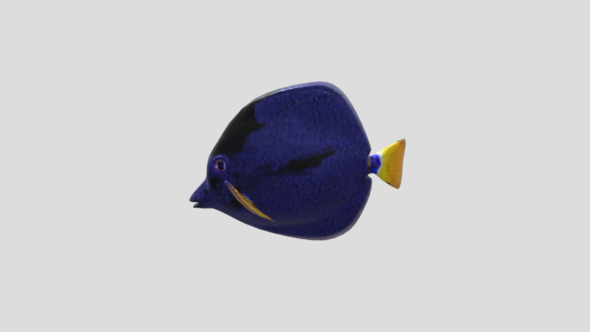 Fishy Fish - 3D model by MrWoozy [4ebc20e] - Sketchfab