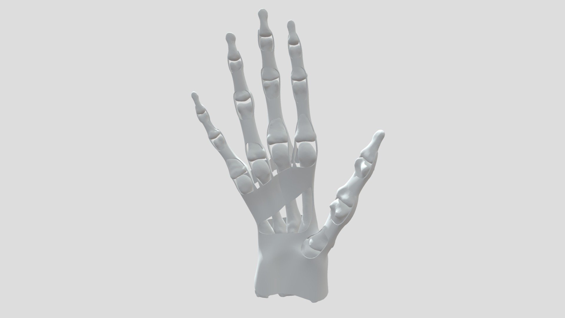 Biomimetic Bionics Hand - 3D model by peter.mitrev0057 [4ebd598 ...