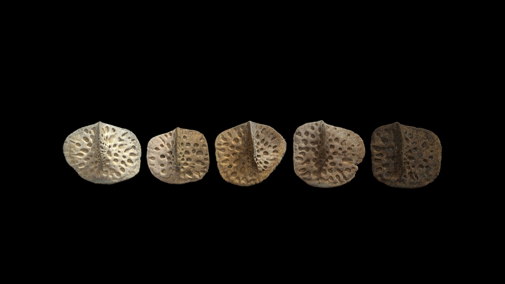 Spectrum of Soil Staining (Alligator Scutes) - 3D model by CAPHIL ...