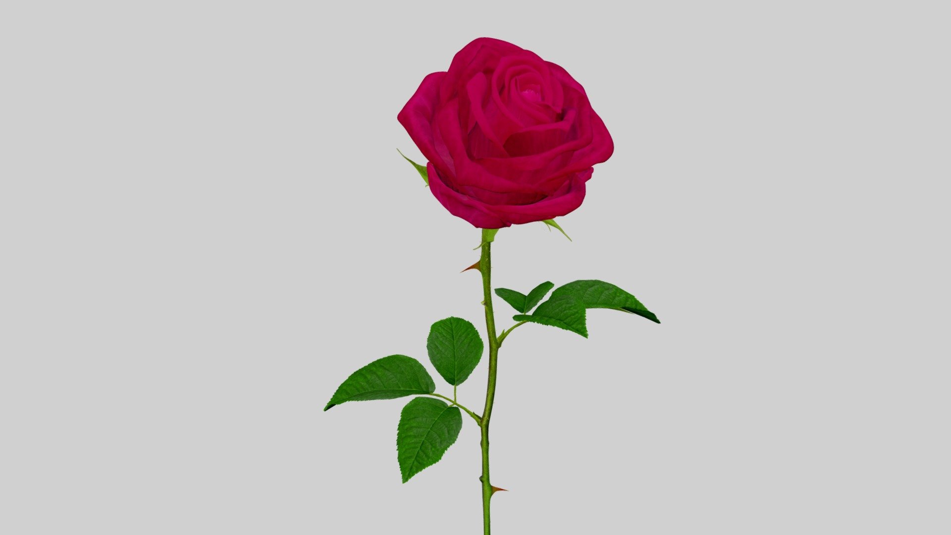 Rose - 3D model by Augang_tu (@Augnag_tu) [4ec42f0] - Sketchfab