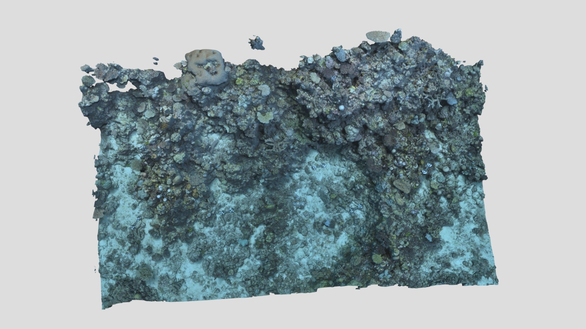 Davies_FR2D_P4_202301 - 3D model by EcoRRAP (@AIMSEcoRRAP) [4ecf185 ...