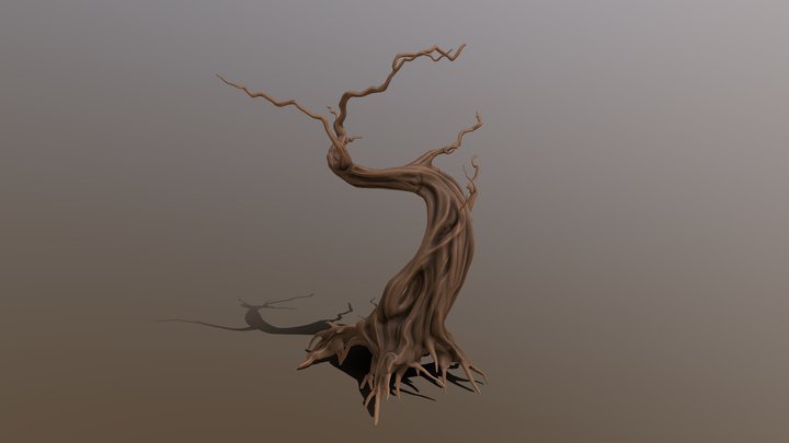 Trunk 3D models - Sketchfab