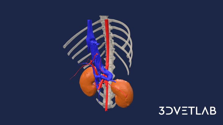 Shunt 3D models - Sketchfab