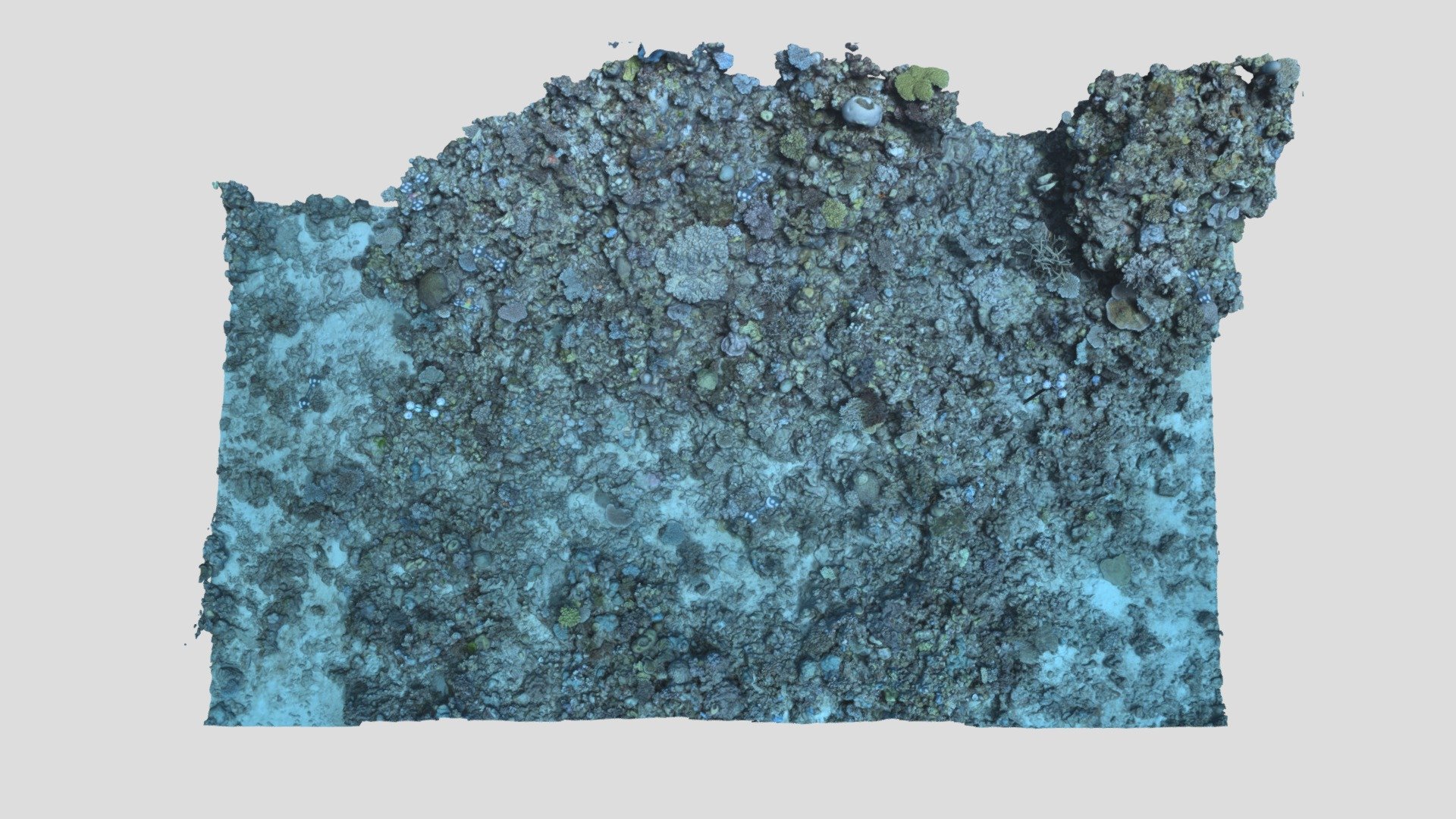Davies_FR2D_P3_202201 - 3D model by EcoRRAP (@AIMSEcoRRAP) [4ee466a ...