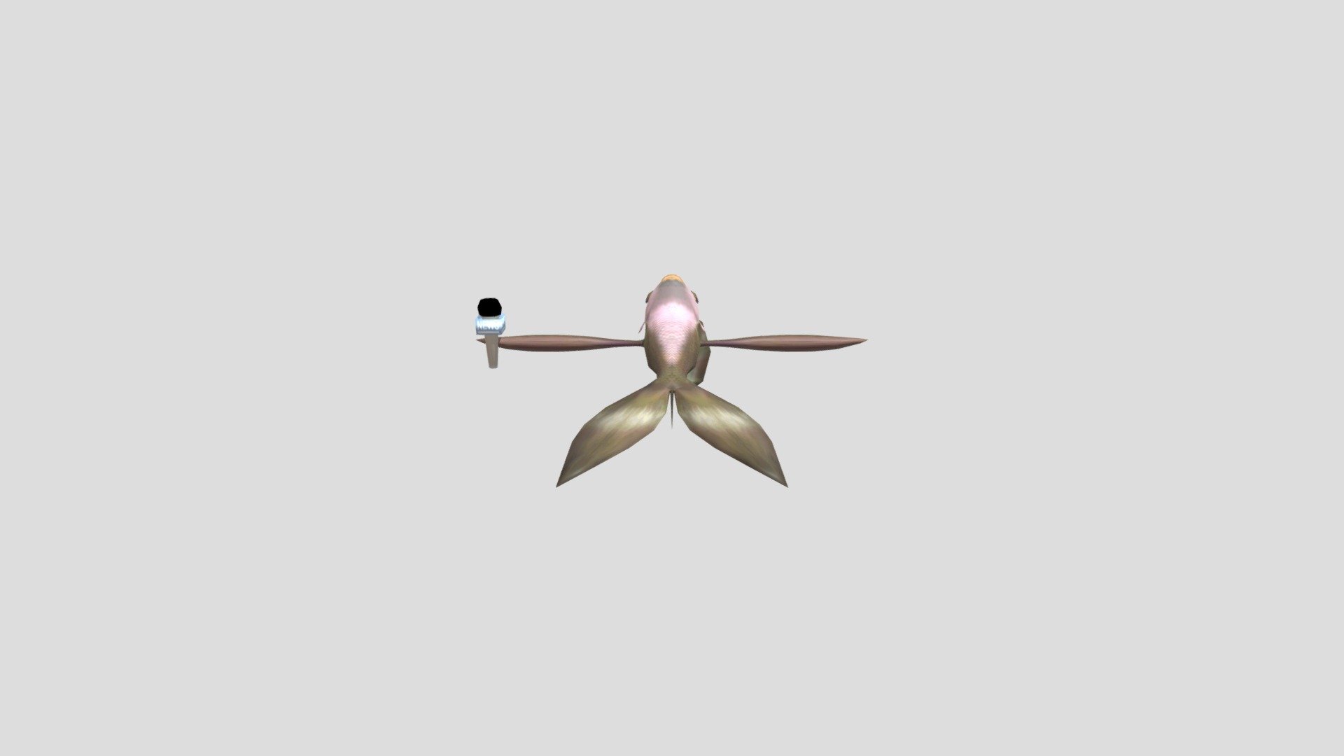 PC Computer - Shark Tale - Katie Current - Download Free 3D model by ...