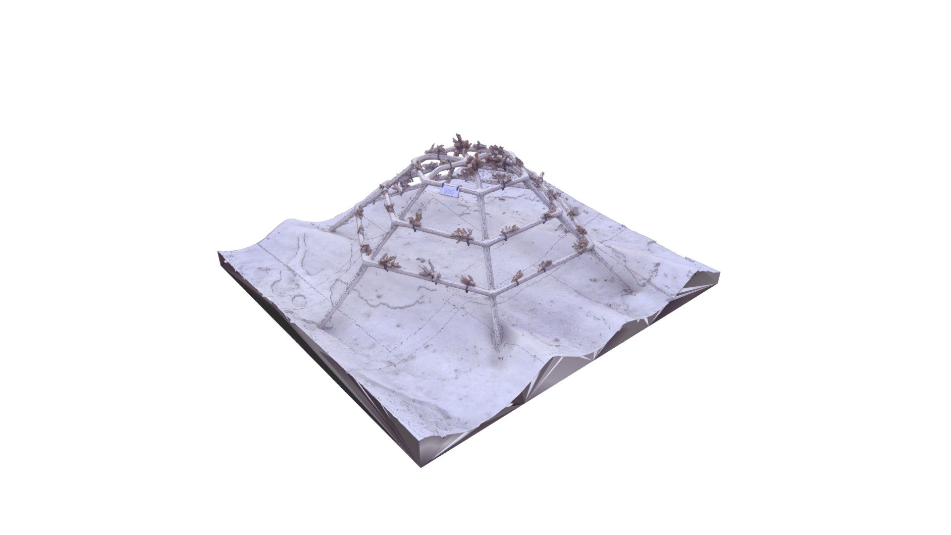 Newly Transplanted Reefscapers Coral Frame - 3D model by Reefscapers ...