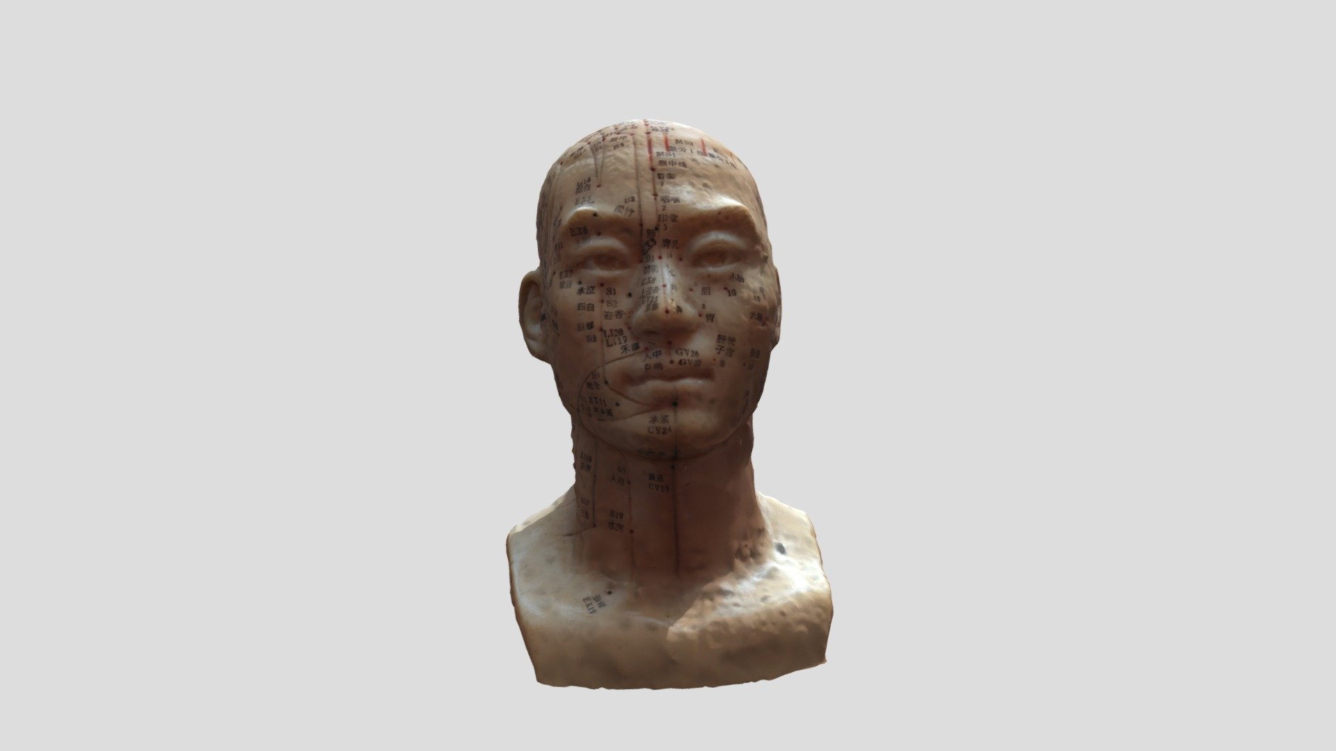 Acupuncture statue - 3D model by Akuadi [4ef08c4] - Sketchfab