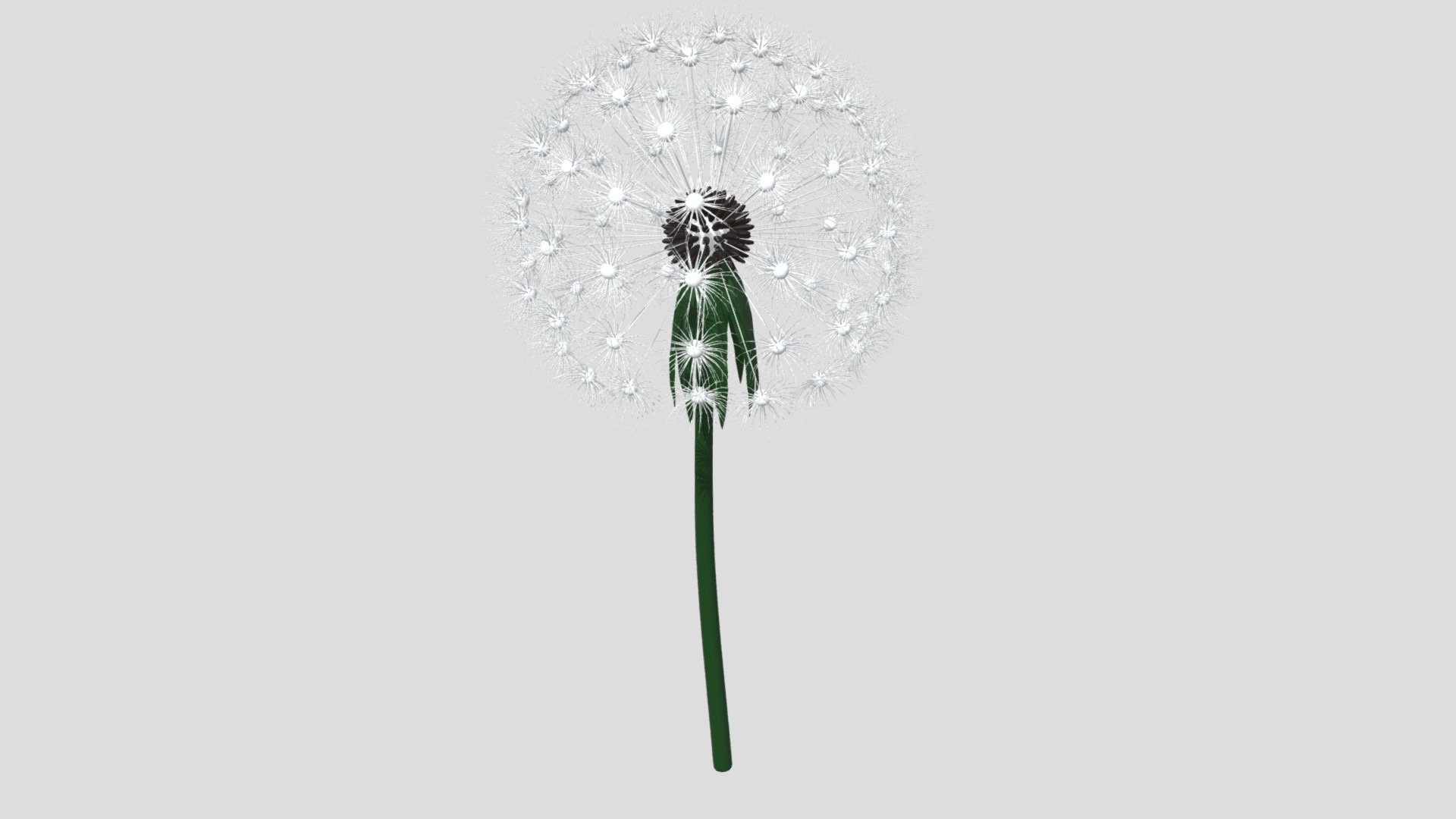 Dandelion - 3D model by HMD’sculptor (@Hmd_sculptor) [4efc5b7] - Sketchfab