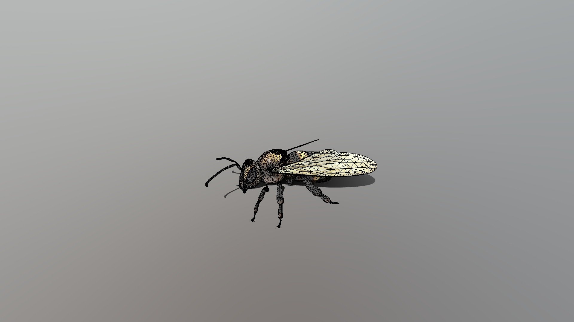 Bee - 3D model by MR Hannan Animations (@mrhanimations) [4efd9e7 ...