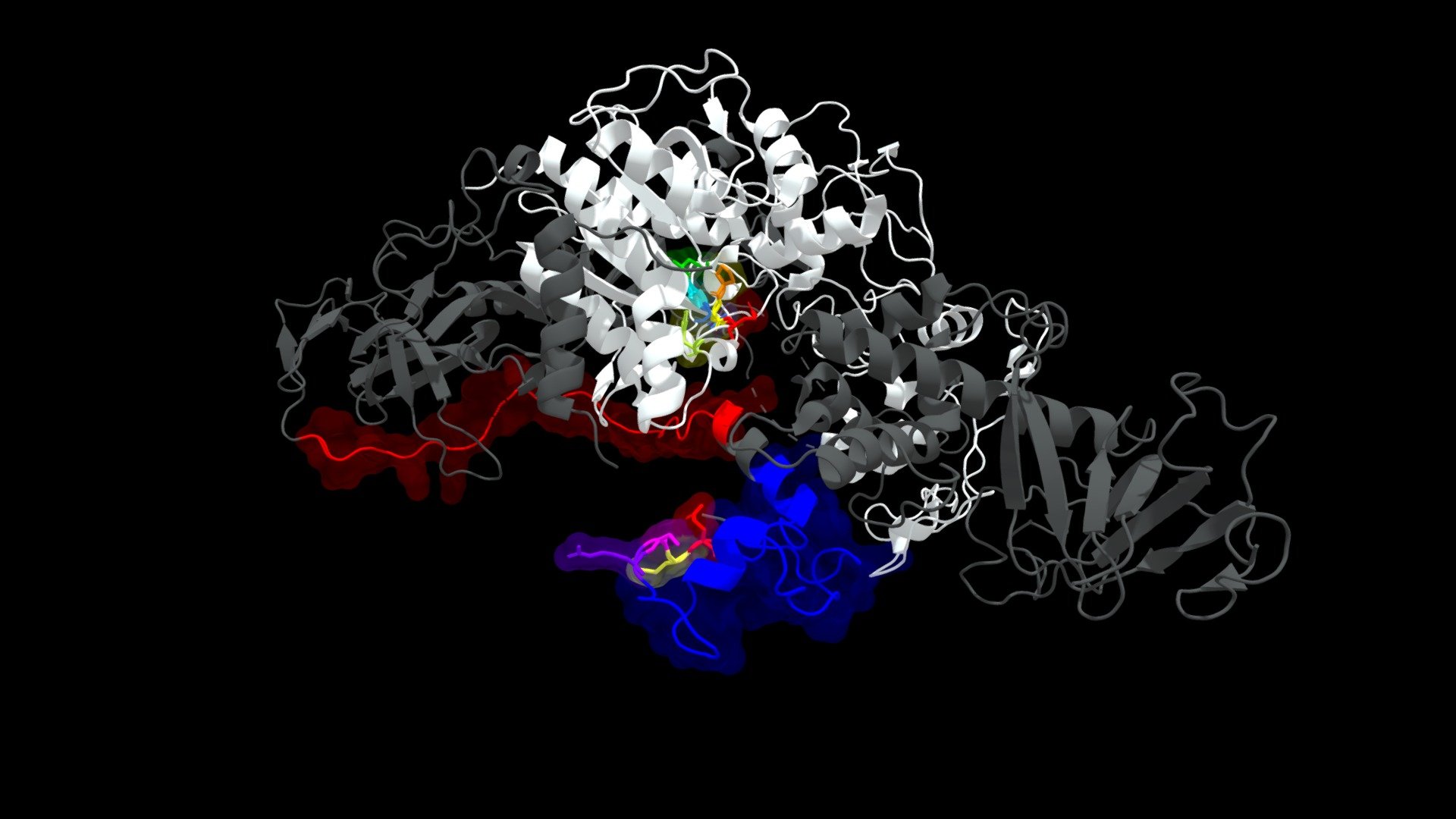 The Anatomy Of A Gene Silencer: DNMT1 - 3D model by whas9955 [4eff555 ...