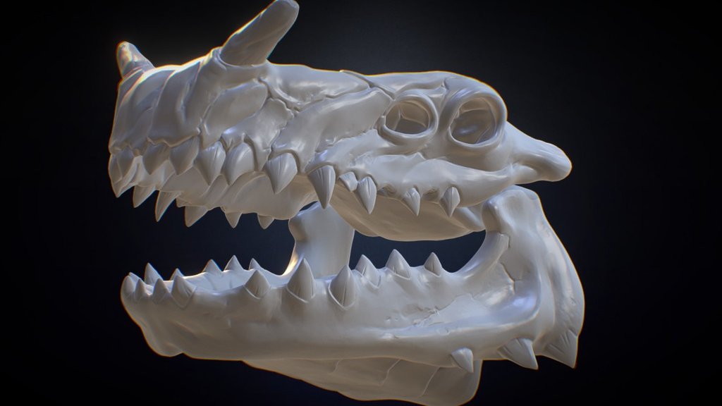 Sea_Dragon Skull - 3D model by Fox3D [4f02fff] - Sketchfab