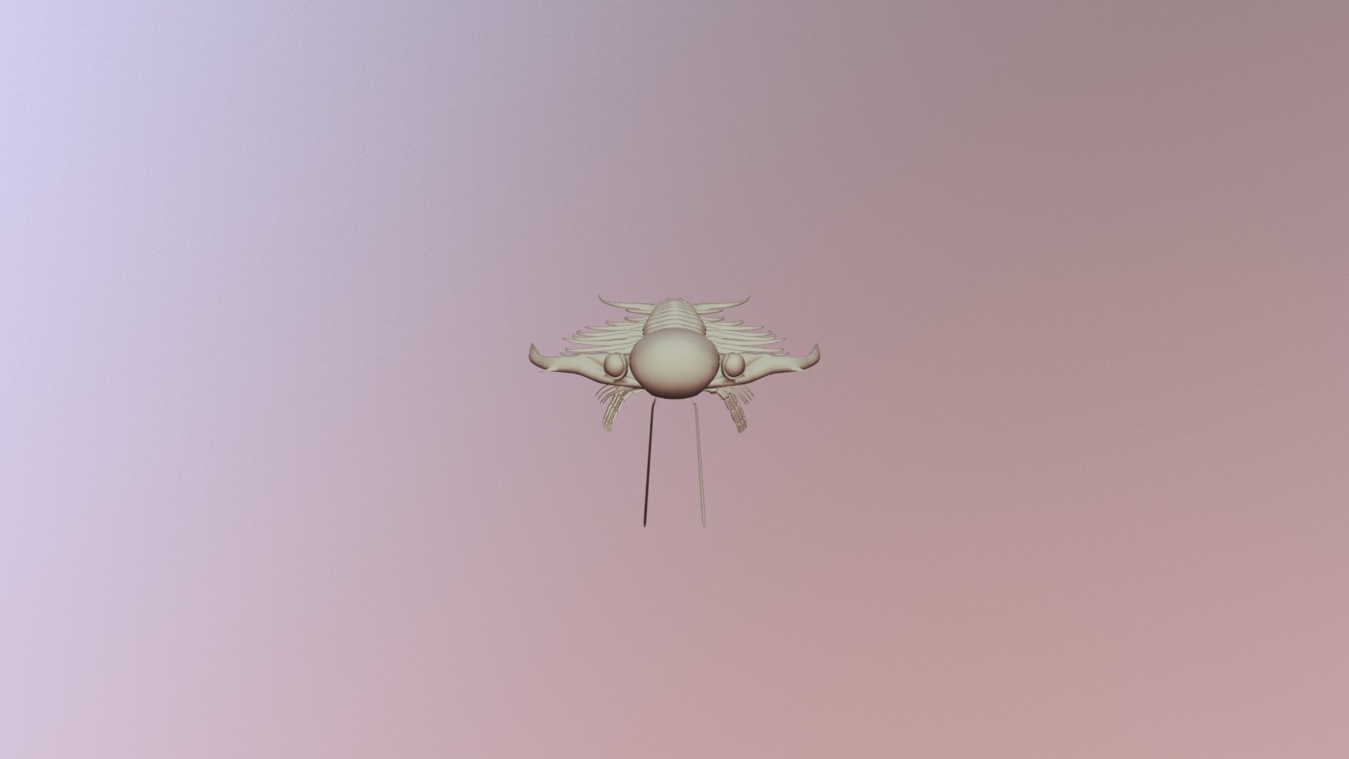 TRILOBITE. Deiphon forbesi ver.2017 - Download Free 3D model by ...