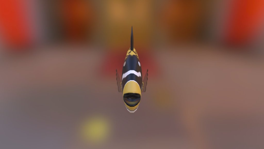 Trigger Fish - 3D model by Sckookum [4f21205] - Sketchfab